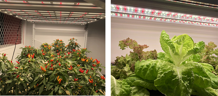 custom 4ft 40W greenhouse integrated led grow tube light reflector for ...