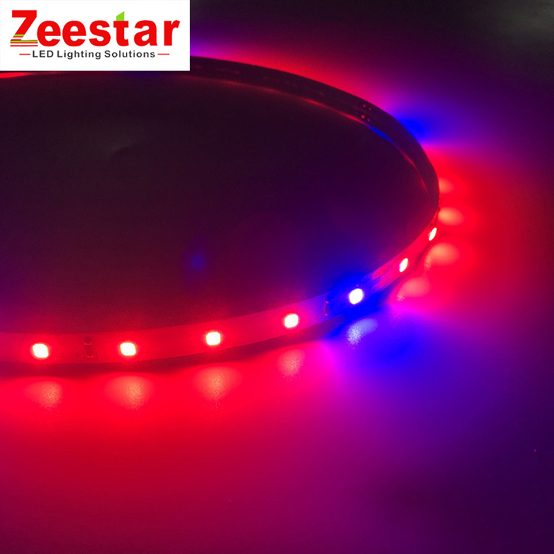 dc24v 12v smd 2835 full spectrum red blue led plant grow light strip