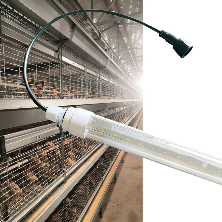flicker free dimmable poultry lights led