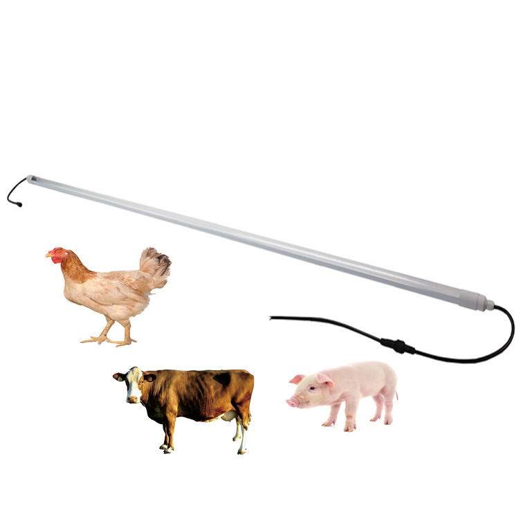 poultry farm led lighting system ip67 for chicken broiler farm
