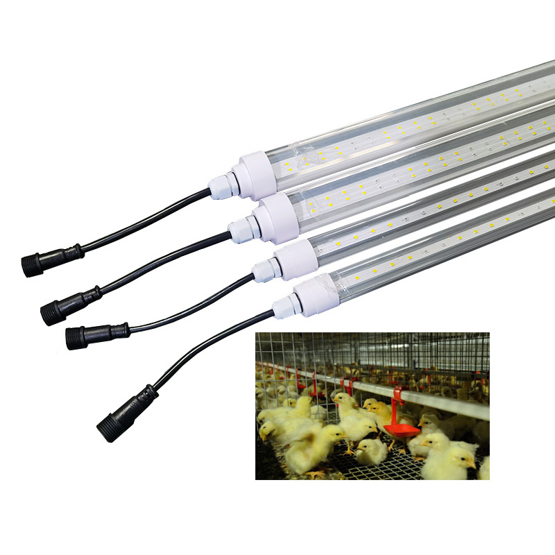 poultry farm led lighting system ip67 for chicken broiler farm