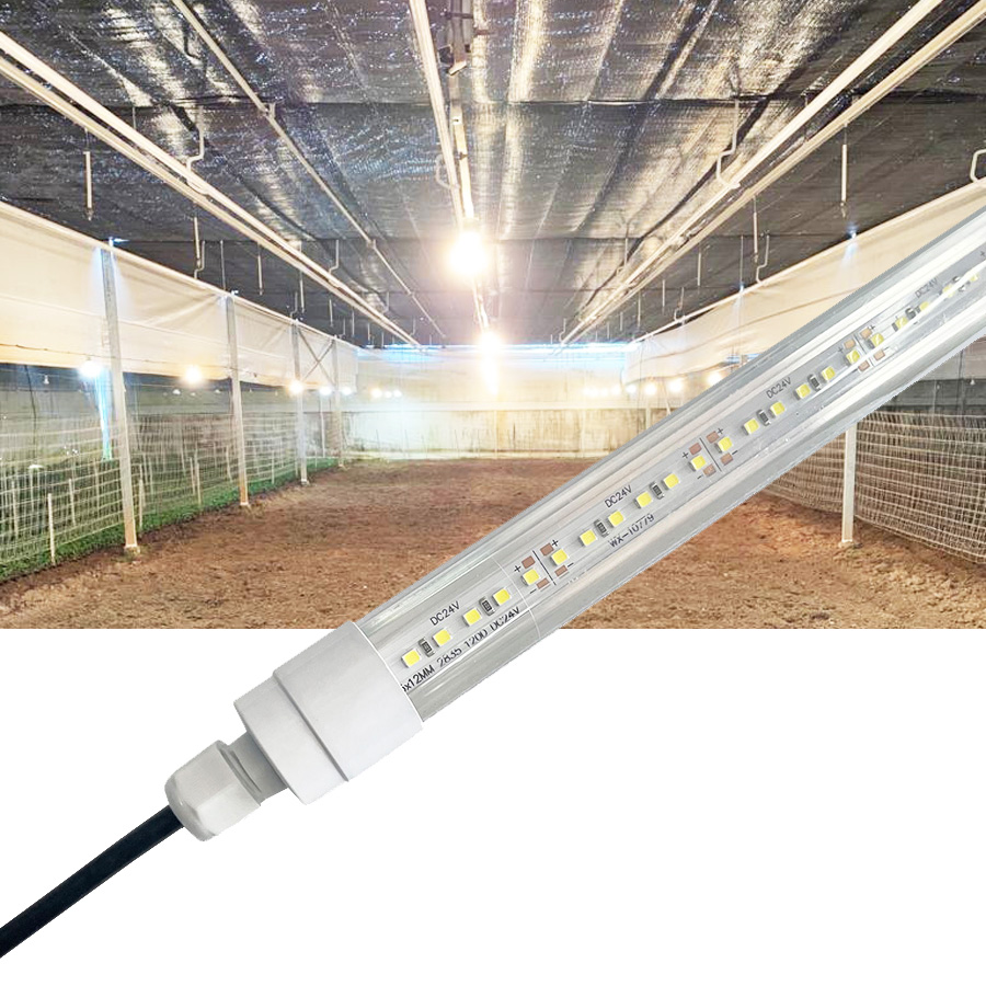 Dimmable chicken automatic lighting system poultry layer light